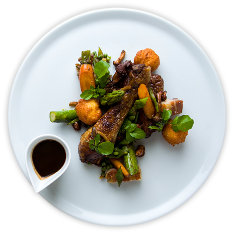 Phasellus – Jatine.de